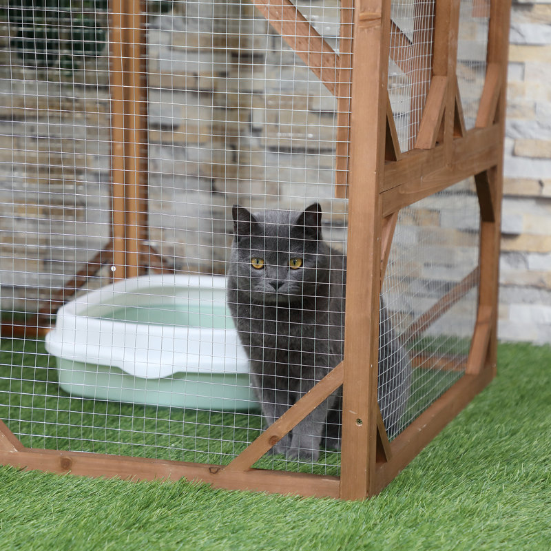 Tucker Murphy Pet™ Chamika Outdoor Playpen Cat Cage Catio & Reviews ...