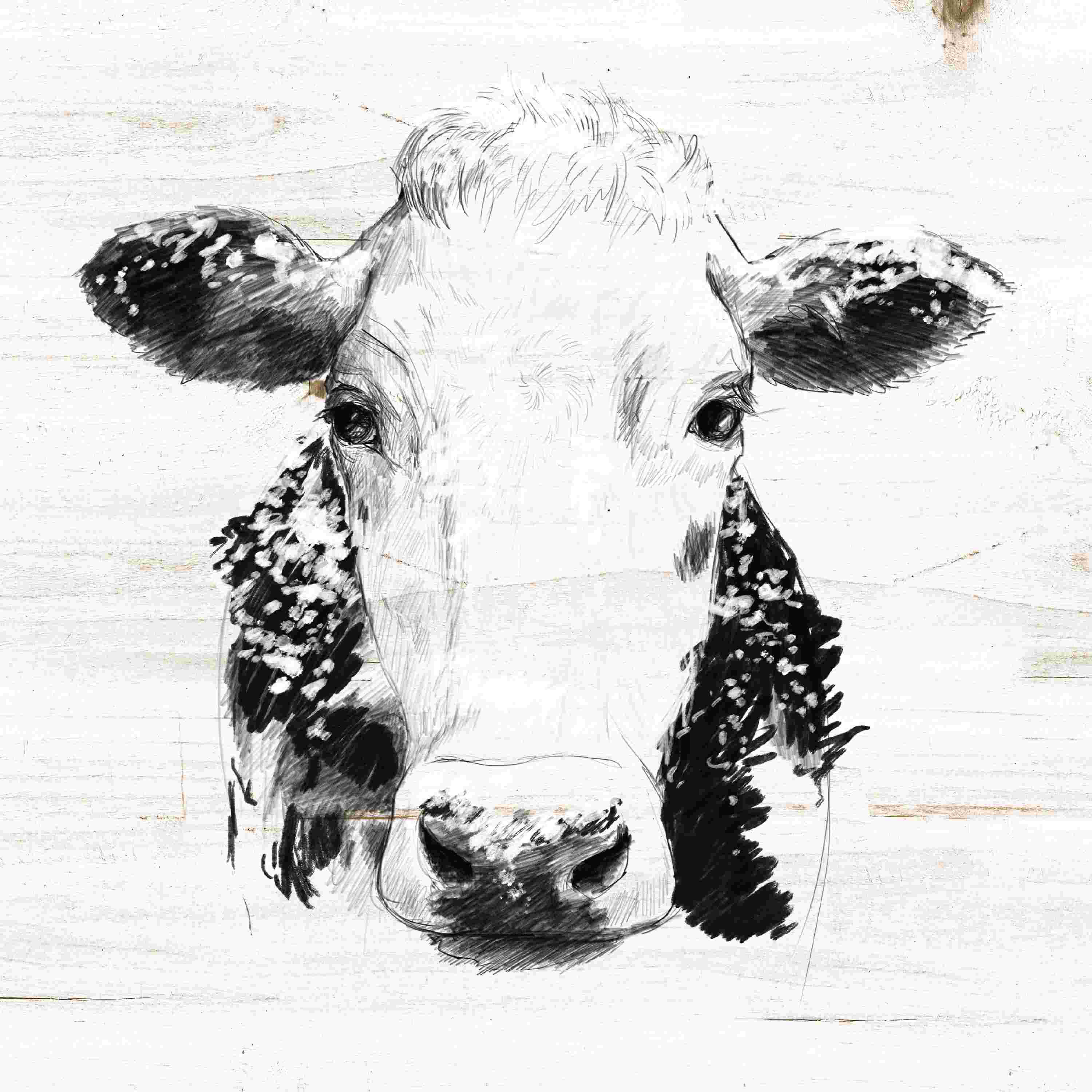 August Grove® Snowy Cow Drawing by - on | Wayfair