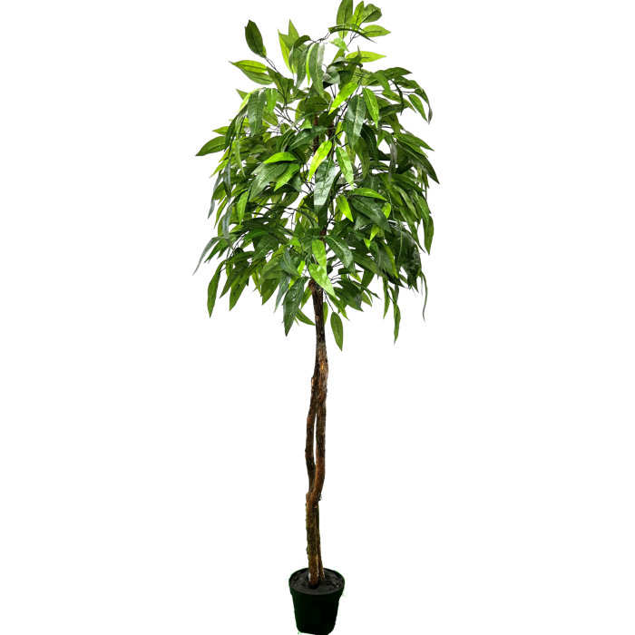 Primrue Hand-Made Primrue All Seasons 6'' Artificial Mango Tree | Wayfair