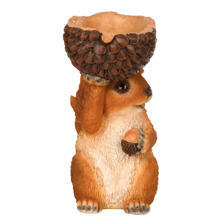Union Rustic Esschert Design Feeding Bowl Acorn with Squirrel 18.5 x 10 ...