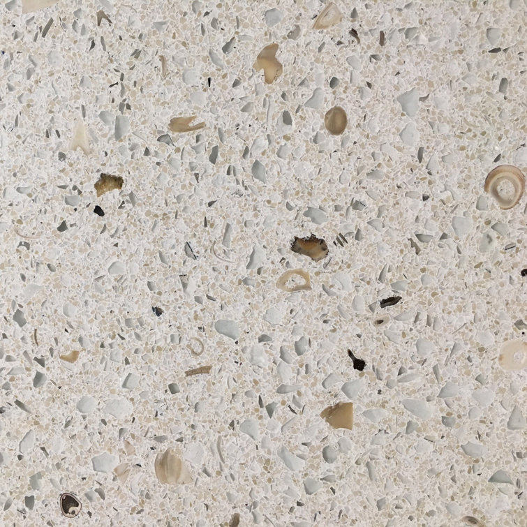 Matrix-Z SeaTile 6" x 6" Seashell Wall & Floor Tile | Perigold