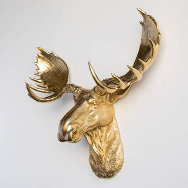Hi-Line Gift Ltd. Moose Head Wall Décor & Reviews | Wayfair