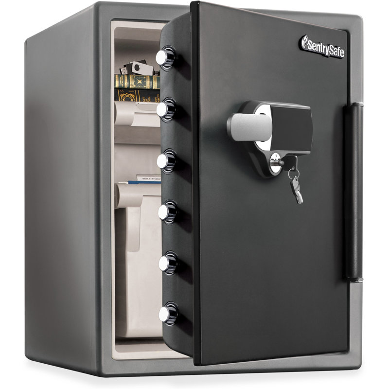 SentrySafe Digital Security Safe with Dual-Lock | Wayfair