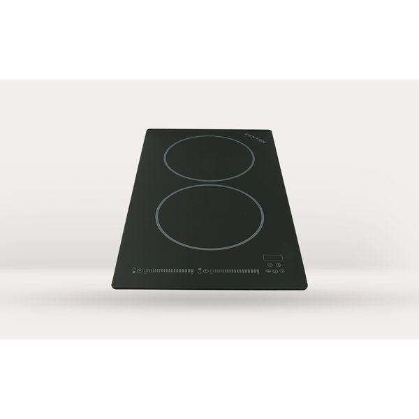 Kenyon 21'' Induction Cooktop | Wayfair