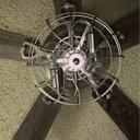 Sand & Stable Taranto 48'' Ceiling Fan with Light Kit & Reviews | Wayfair