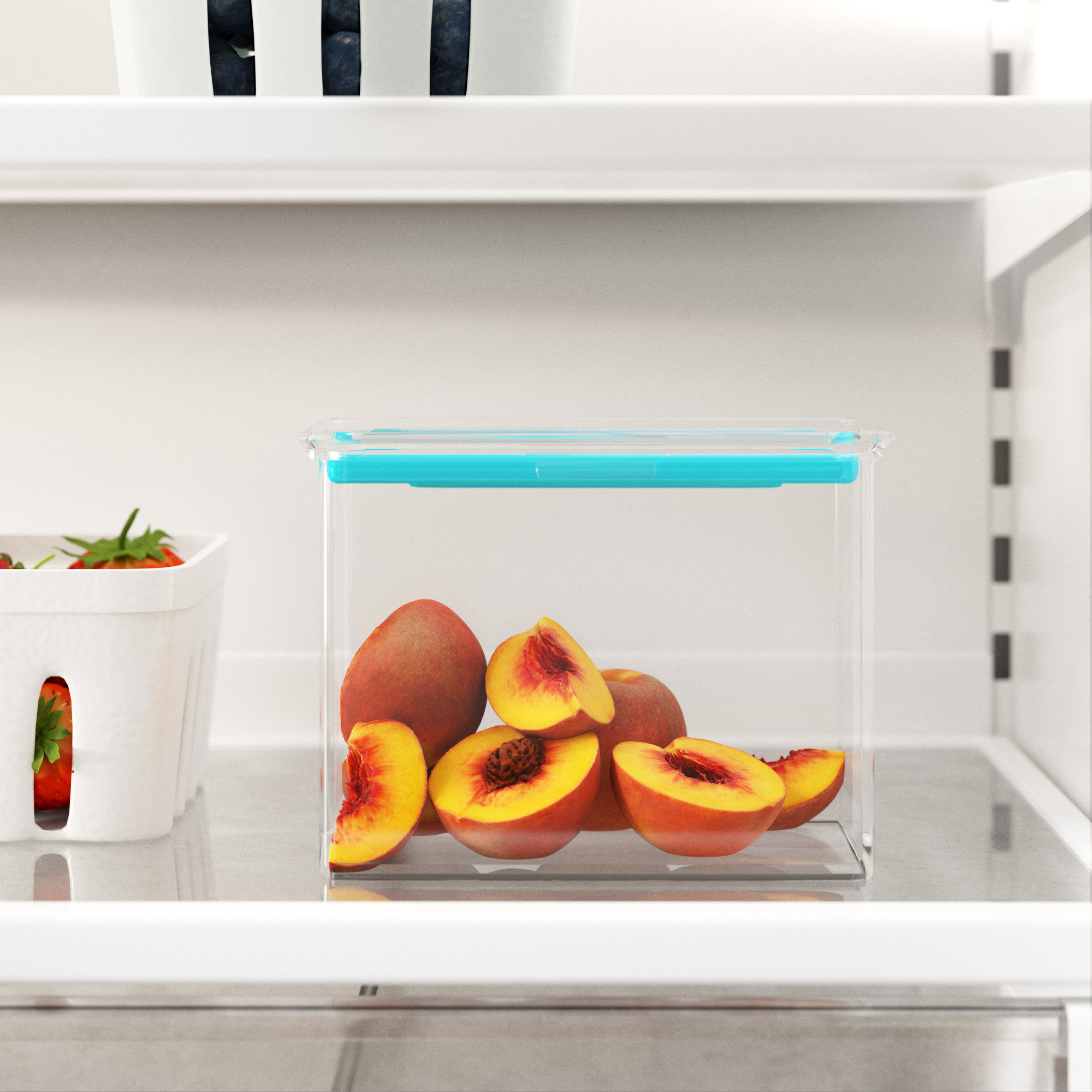 Dotted Line™ Clyde Box Food Storage Container & Reviews | Wayfair